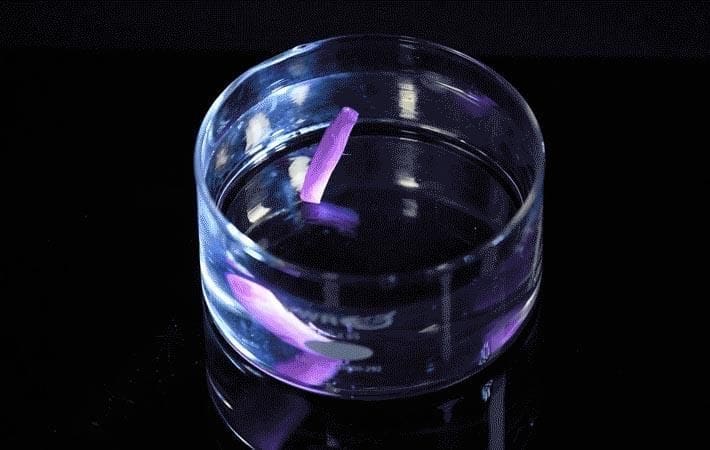 HARVARD SCIENTISTS CREATE MATERIAL WITH SHAPE MEMORY | Textile Magazine ... HARVARD SCIENTISTS CREATE MATERIAL WITH SHAPE MEMORY | Textile Magazine ...